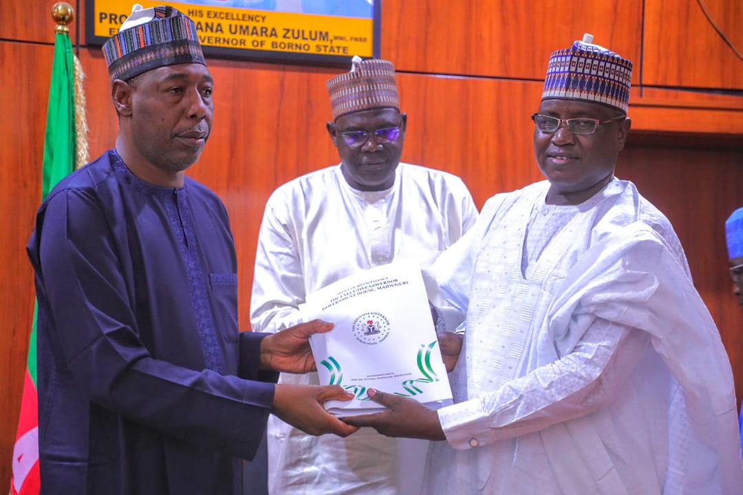 Zulum signs law on special support to victims of Boko Haram