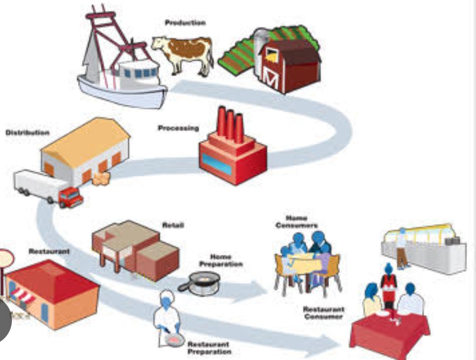 From Farm to Fork: Understanding the impact of food production
