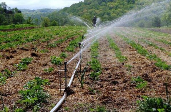 FG launches dry season farming in Jigawa