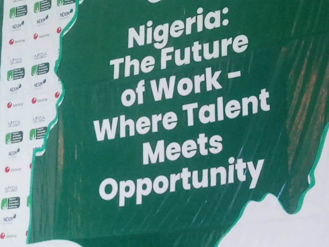 FG sets to curb brain drain in Gombe with outsourcing initiative ...