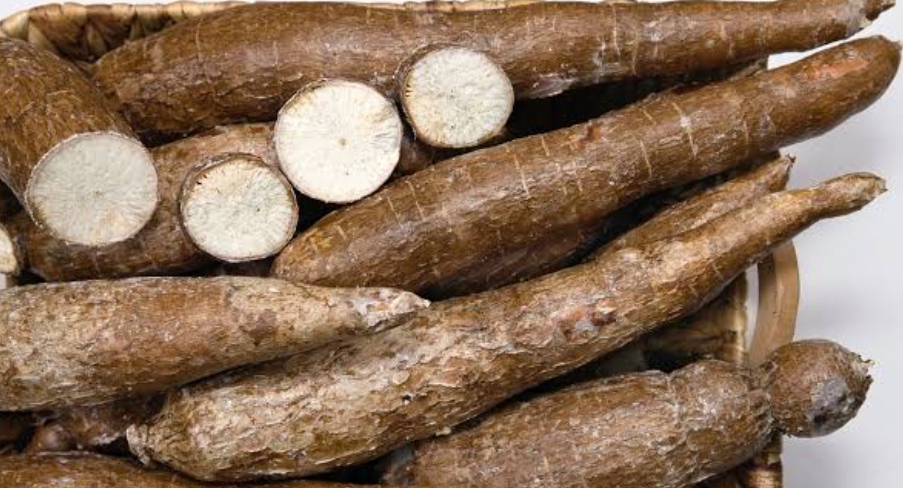 Cassava kills one, 10 others hospitalised in Gombe over cyanide