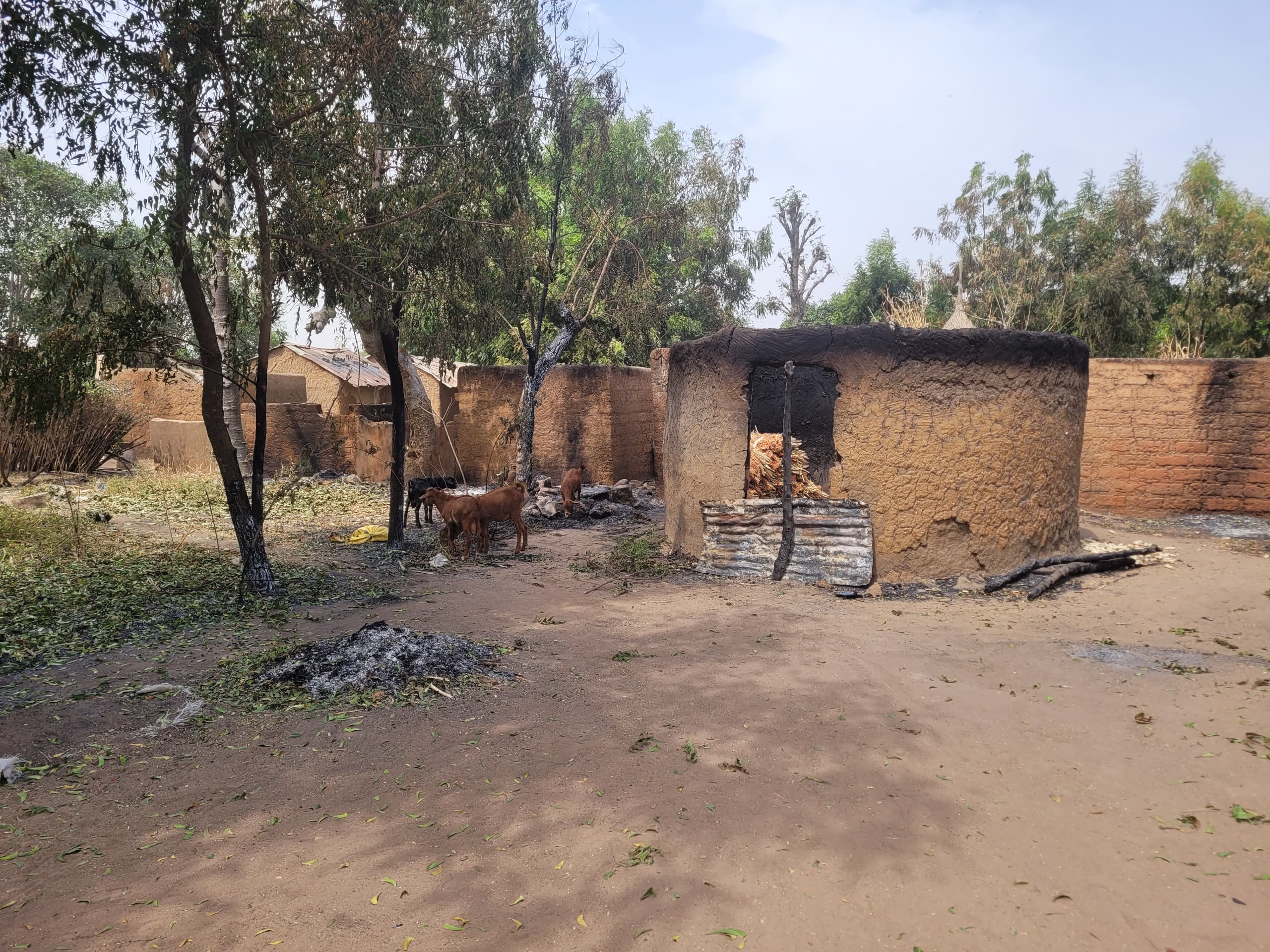Group donates to victims of herdsmen attack in Billiri