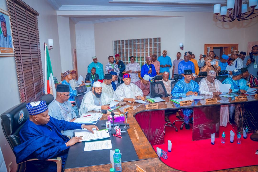 Northern govs back Tinubu on security, push revenue reforms
