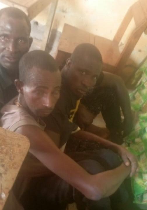 Peace committee arrests grave vandals in Taraba
